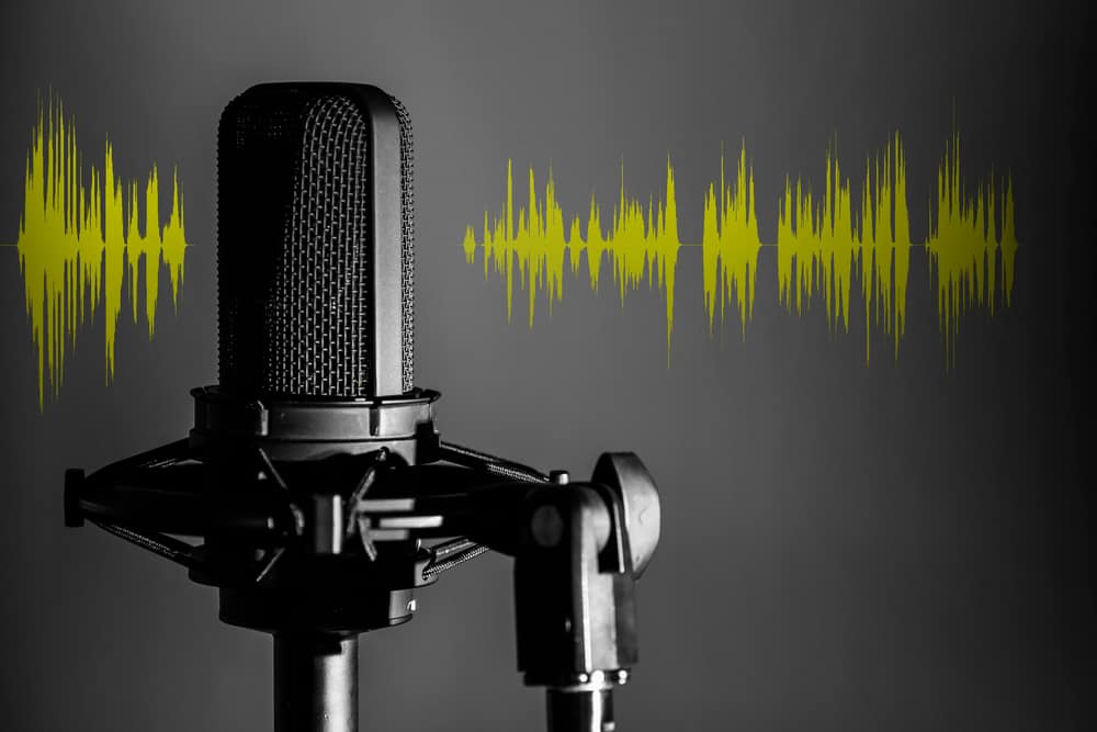 Top 68 Imagen Background Noise Removal Microphone Thpthoangvanthu edu vn