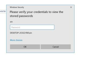 How To Find All Passwords Entered on My Computer | DeviceTests