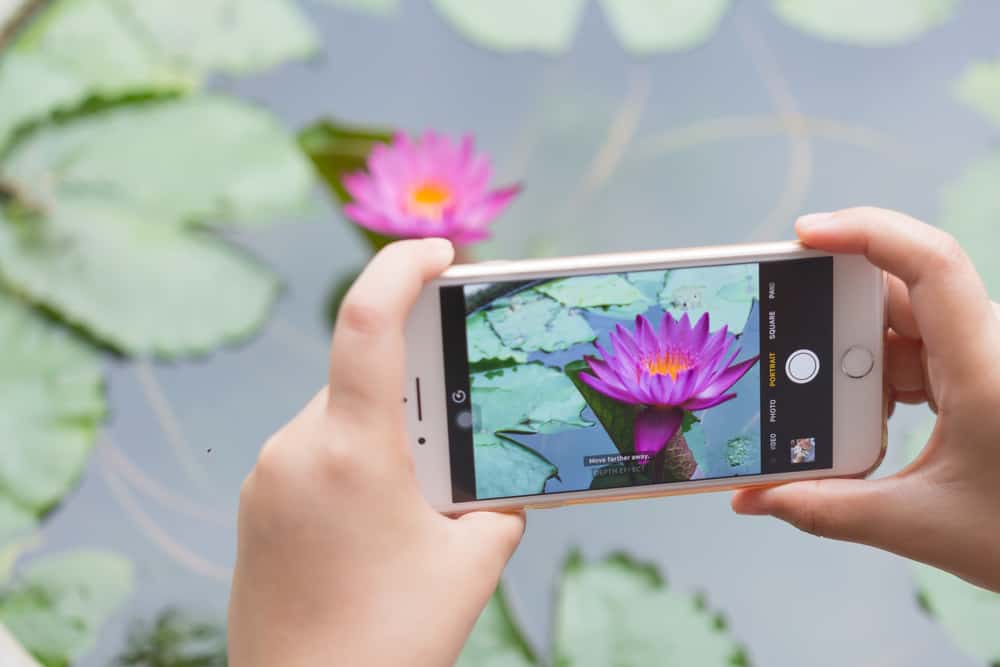 How To Rename Photos On IPhone Step by Step Guide DeviceTests