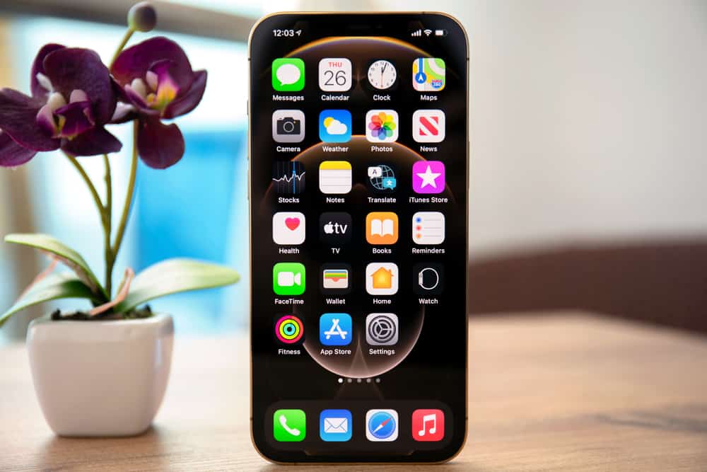 How To Put Messages Back On IPhone s Home Screen DeviceTests