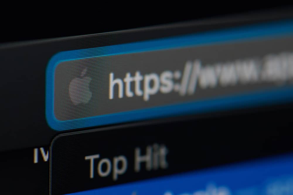 How To Get The Search Bar Back On Mac DeviceTests