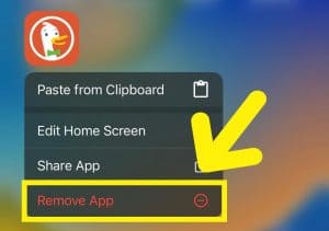 How To Remove DuckDuckGo From an iPhone | DeviceTests